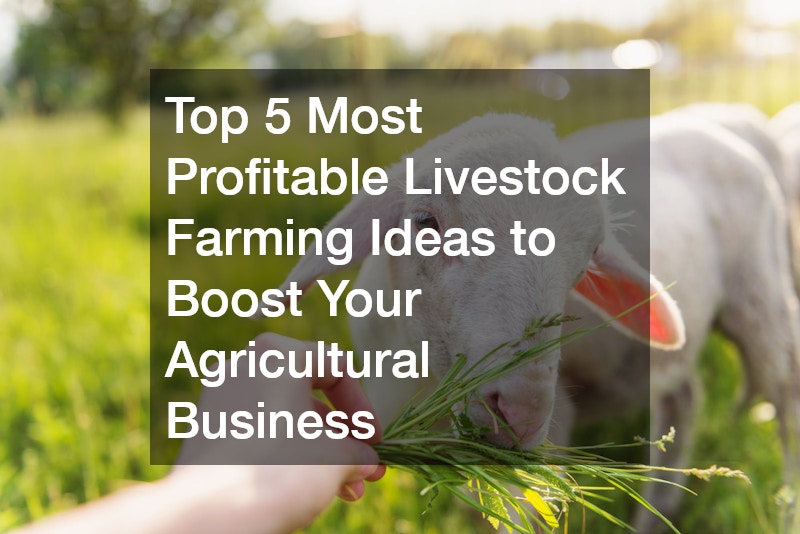 Top 5 Most Profitable Livestock Farming Ideas to Boost Your ...