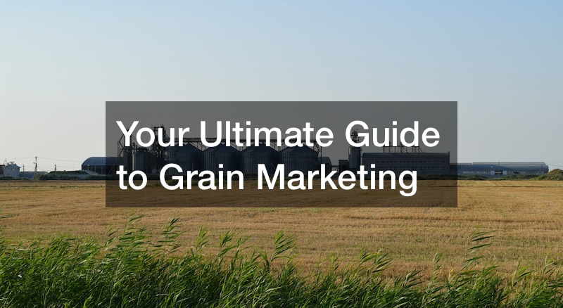 Your Ultimate Guide to Grain Marketing - Fresh50